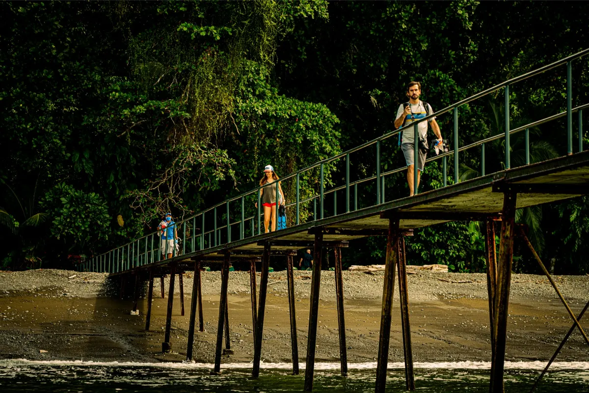 Costa Rica Photography Tours: Nature, Wildlife, and Bird Photography ...