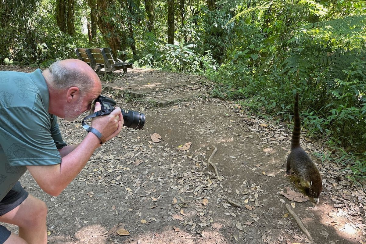 Best Time of Year for Wildlife Photography in Costa Rica (2026–2027)